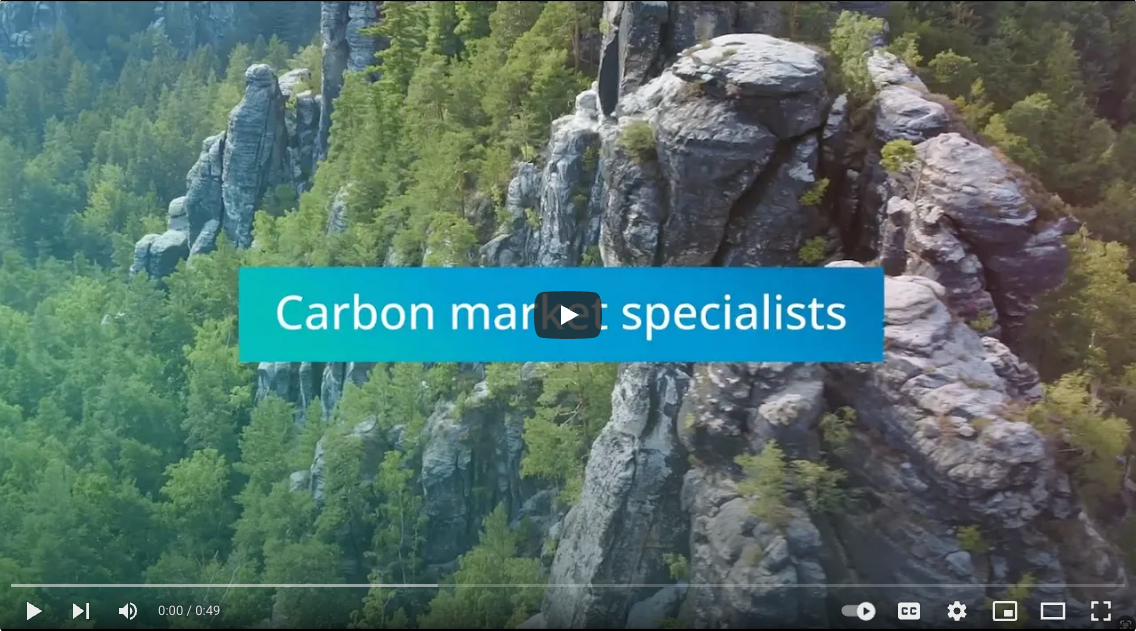 Climate Impact Partners Carbon Credits Store - Empowering Action ...